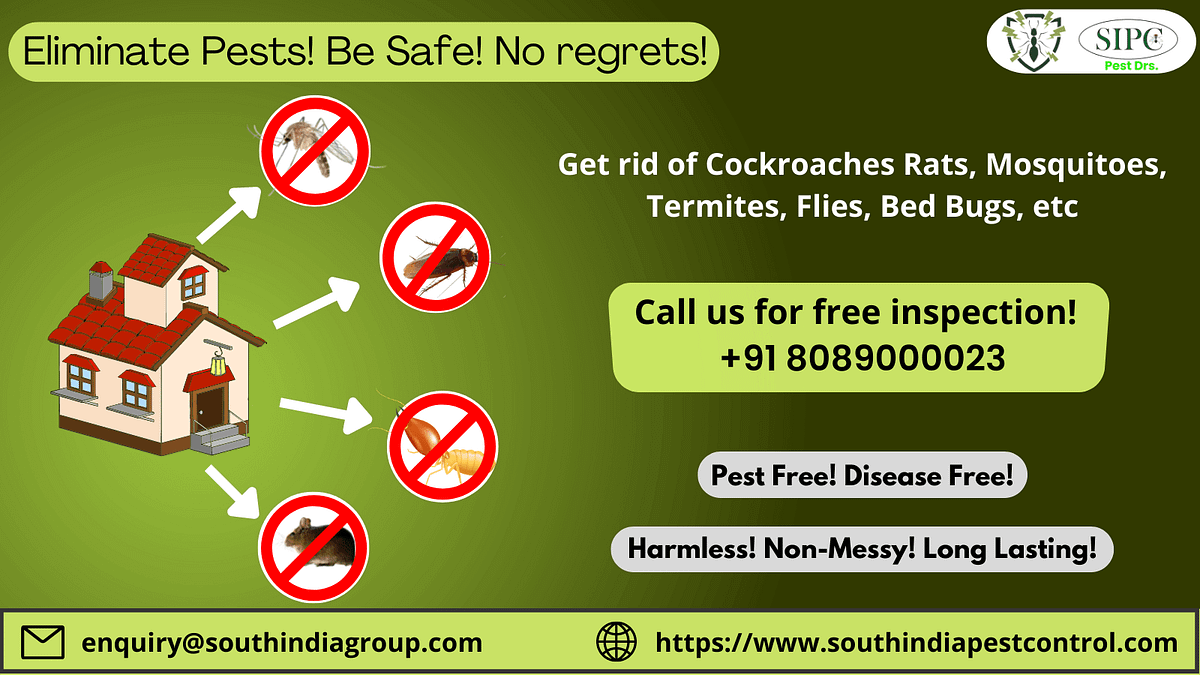 How To Quickly Control Pests in Your Home Using Effective Pest Control ...