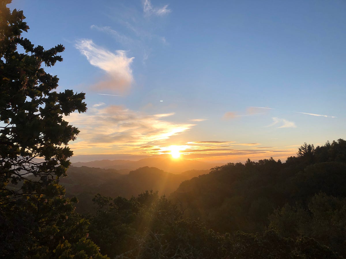 Shelter-In-Place: A New Day Dawns | by Darshana Avila | Medium