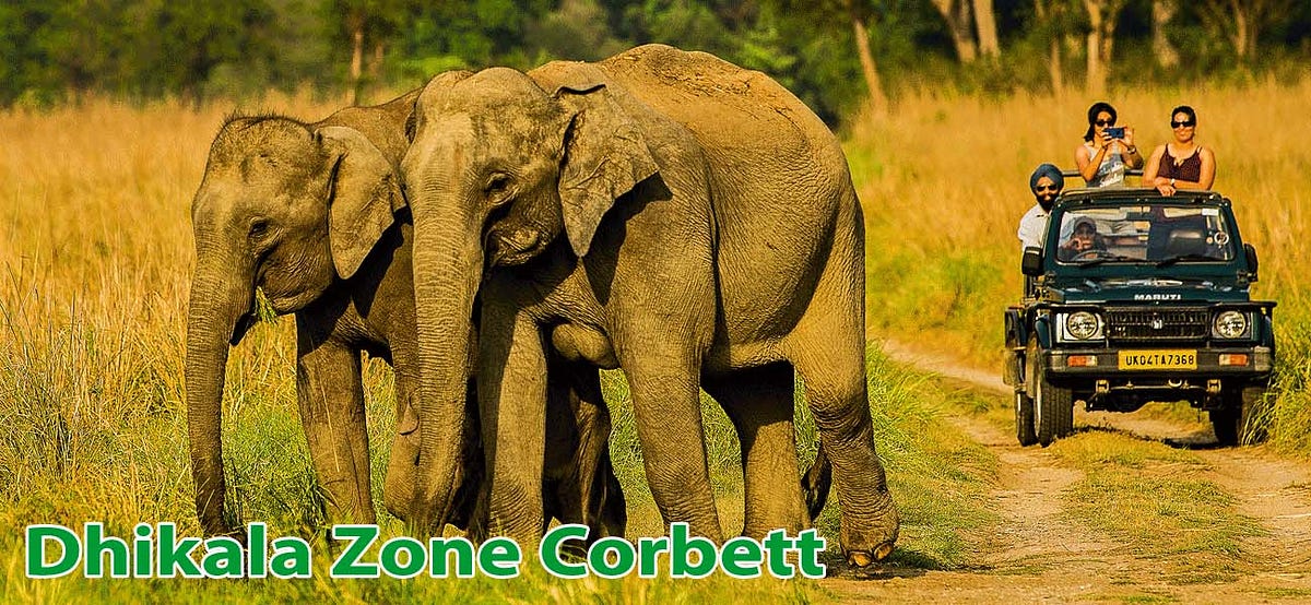 Dhikala Zone Corbett - Corbetttigerreserve Net - Medium