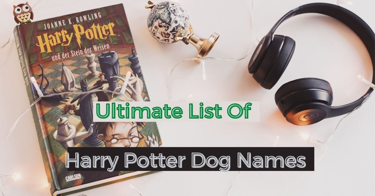 Harry Potter Dog Names: 110 + Ultimate List Of Harry Potter Dog Names ...