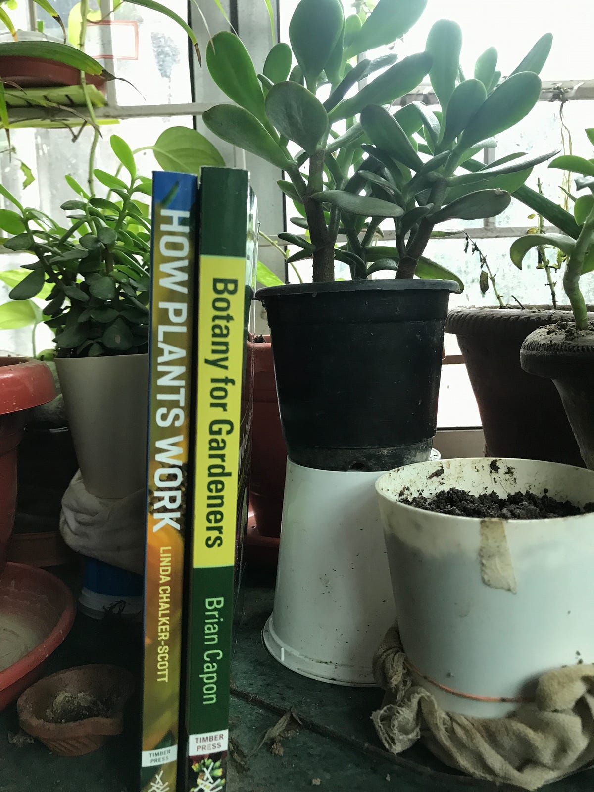 2 books to help you understand the science behind plants | by Karthik ...