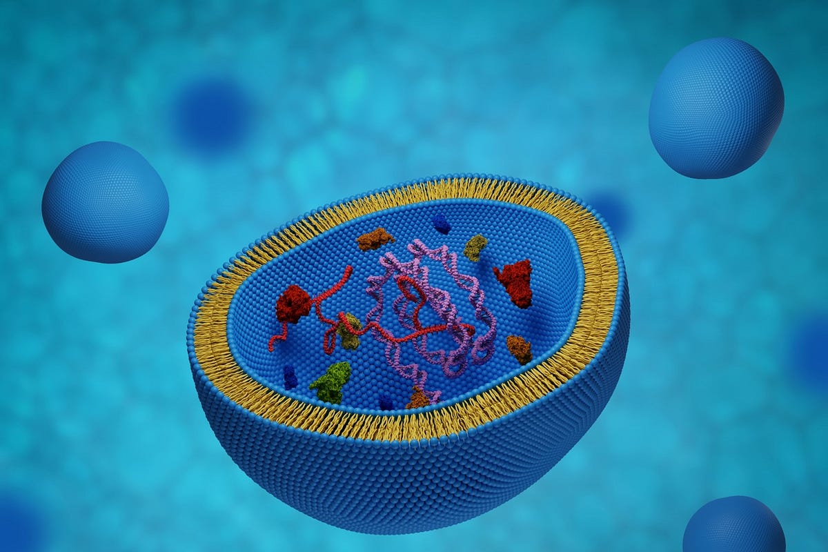 What are exosomes?. Introduction | by Dr Biju K S | Oct, 2024 | Medium
