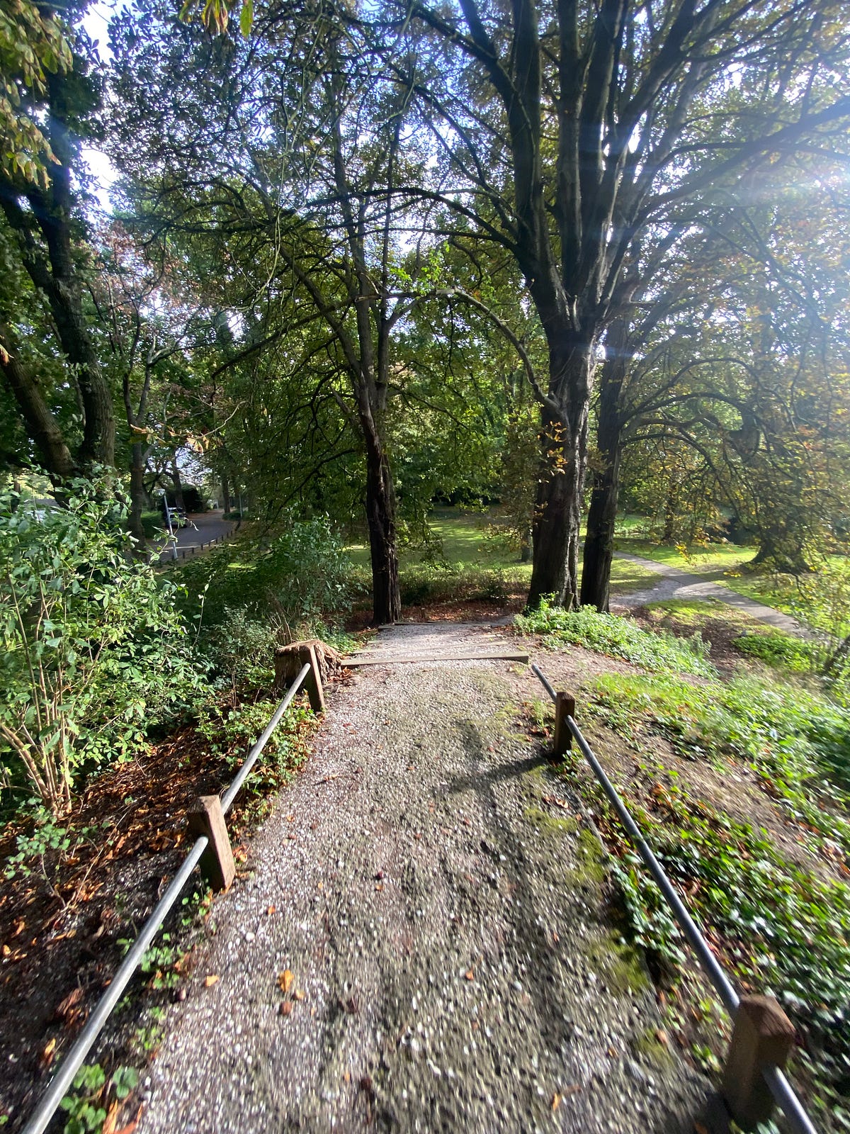 Running Far and Running Strong: A Weekend of Endurance | by Ron Damstra ...