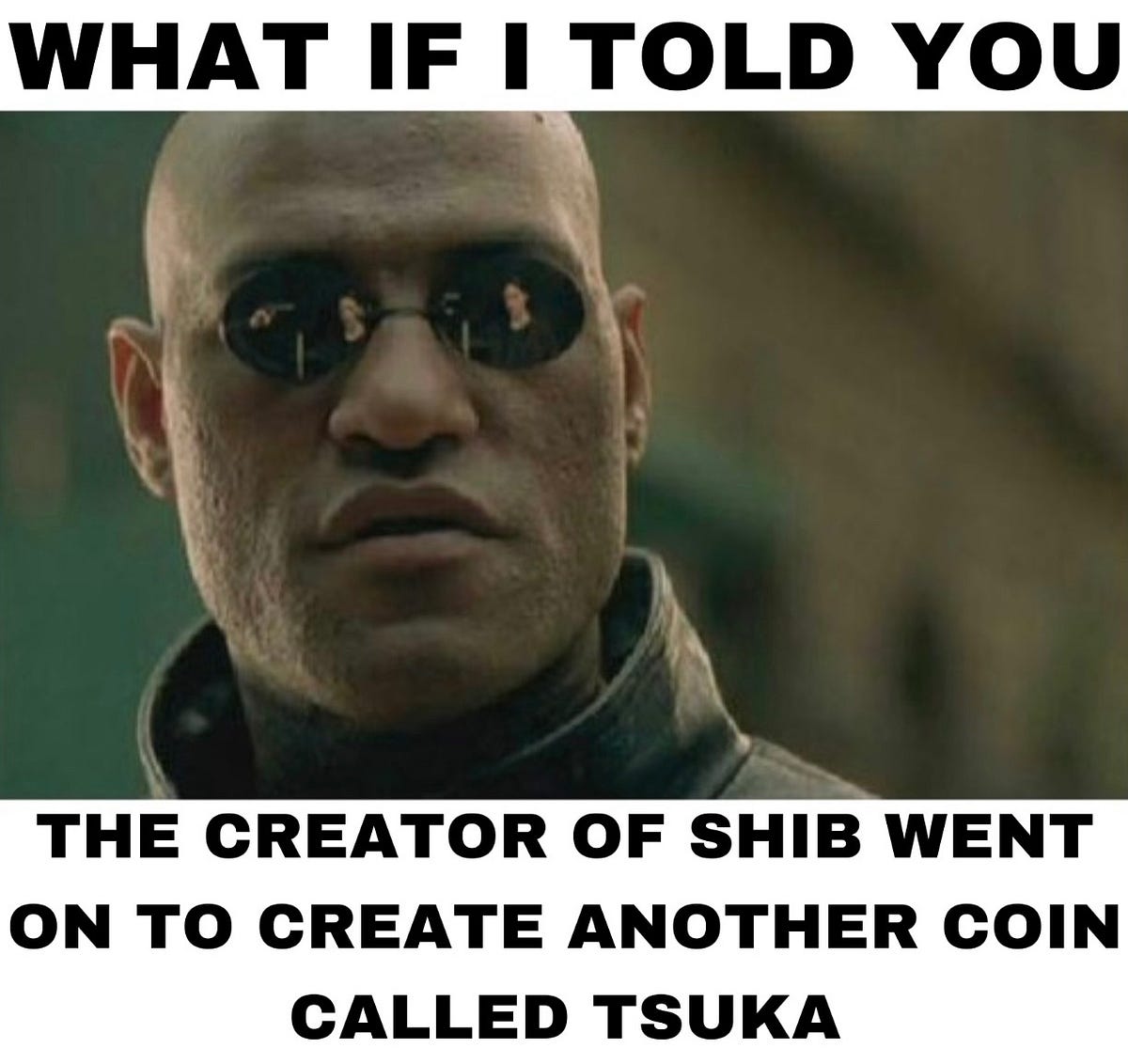 The BitBoy Crypto Journey to Dejitaru Tsuka | by Rigdzin Teundroup | Medium