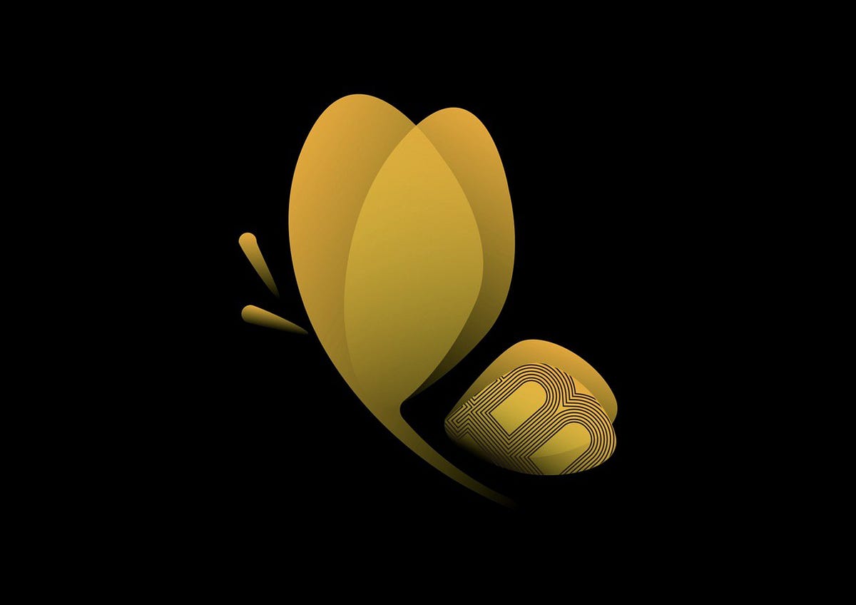 Bitterfly:Butterfly Matrix Entropy Weight Consensus Algorithm | by ...