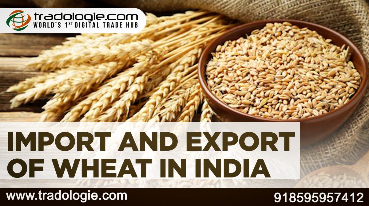 Import and export of wheat in India | by Bilalabbasi Tradologie | Medium