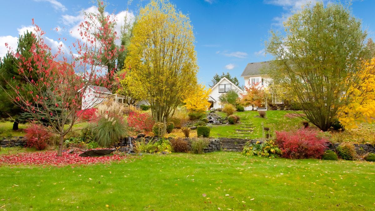 8 Fall Yard Maintenance Tips. Compared to the rest of the country… | by ...