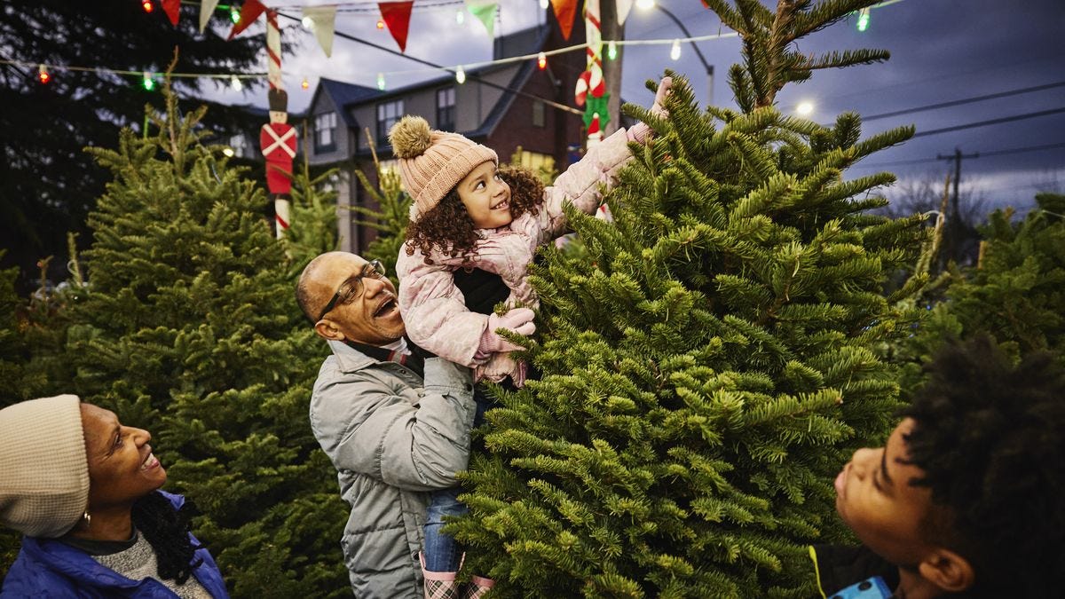 Free Christmas Trees Sign Up. Christmas is just around the corner… | by ...