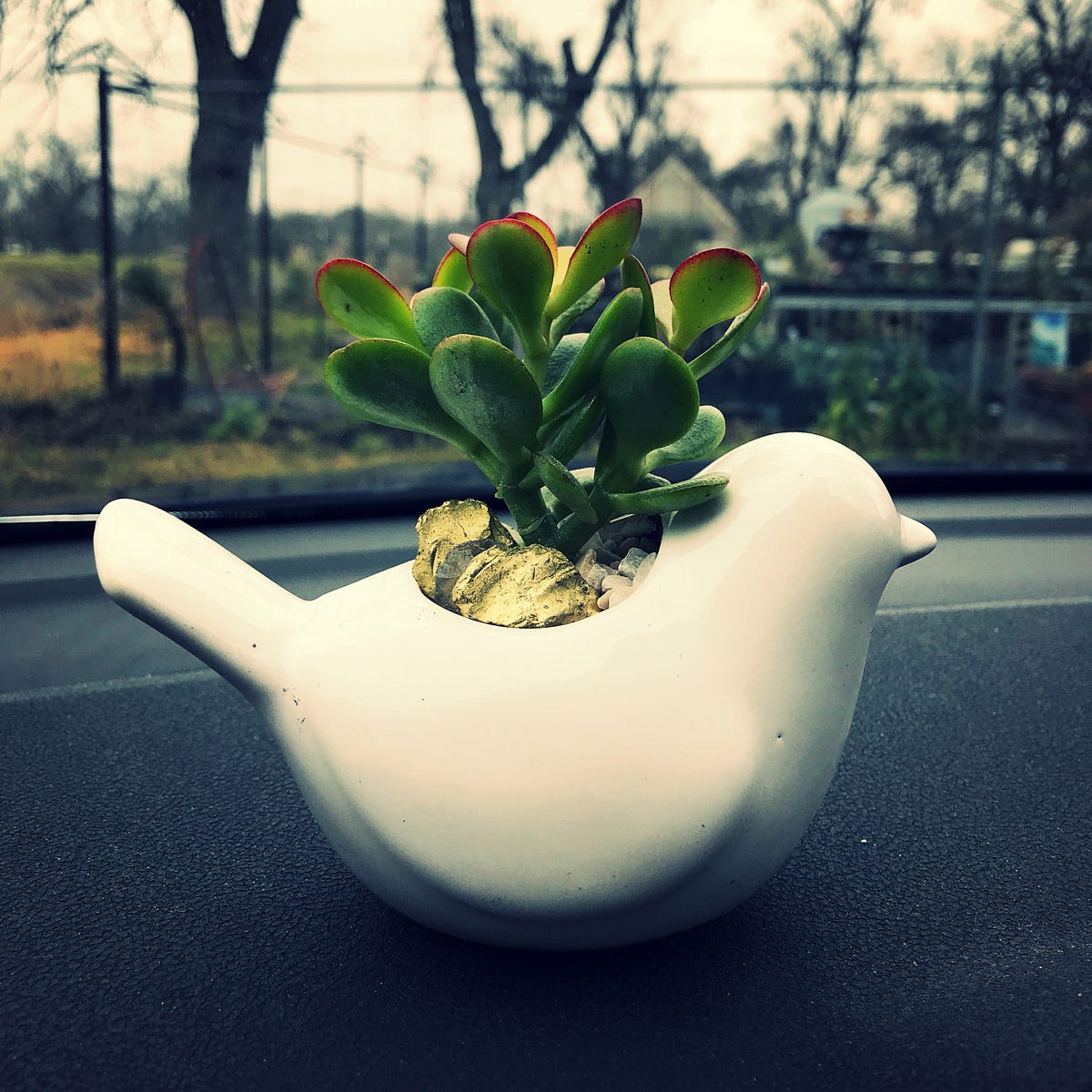 Letter to myself. Hi there past and future me. I want to… | by Tricia ...