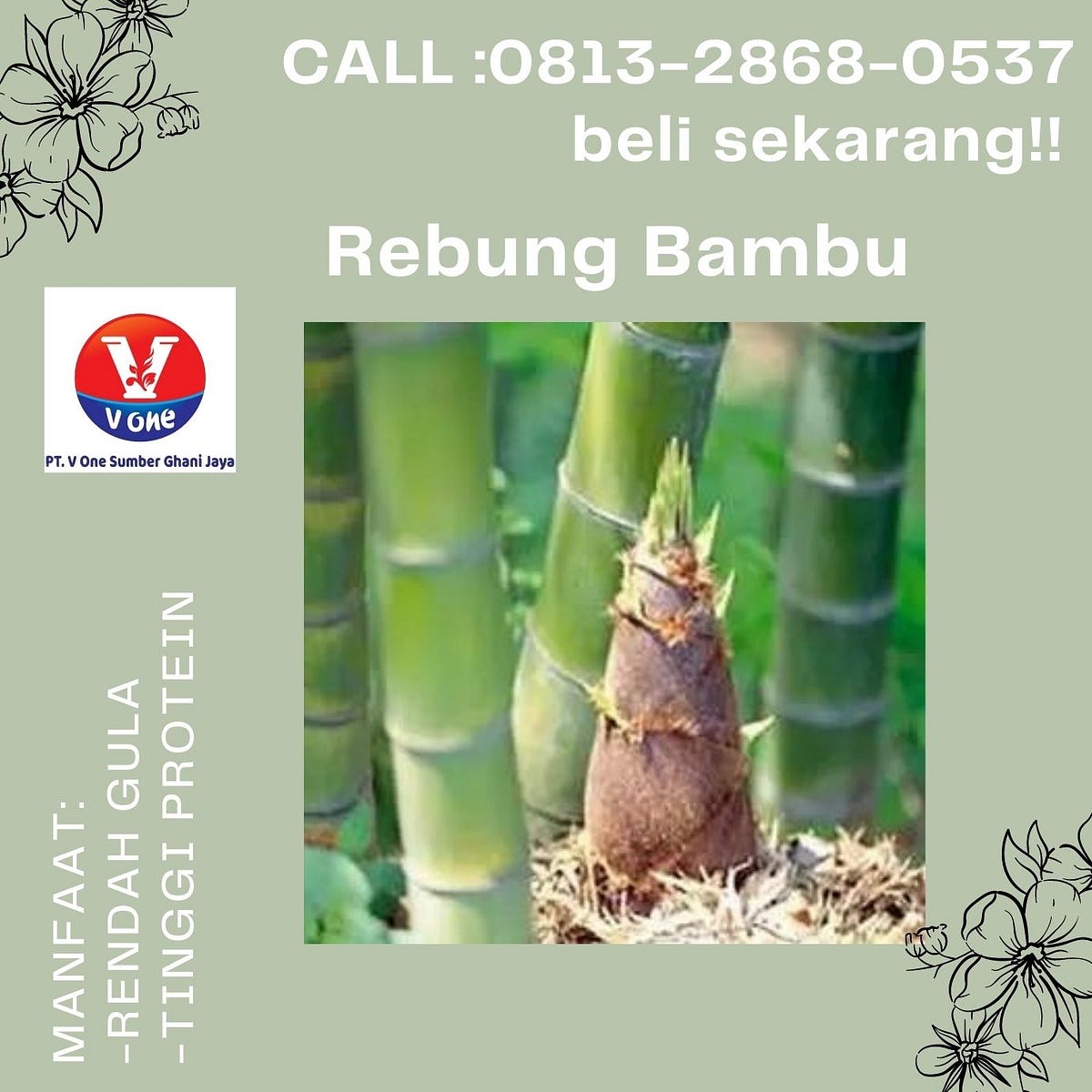 Pusat Budidaya Herbal Rebung Bambu Berkhasiat Tambak Bayumas - Pusat tanaman Herbal230 - Medium