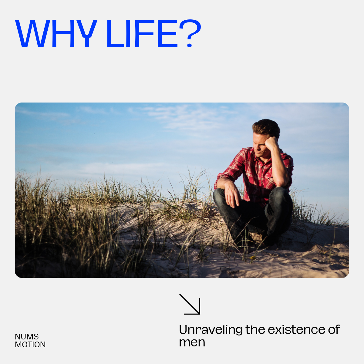 Why Life?. Boom! Zoom! Gbam! Whichever way the… | by Nums Motion | Medium