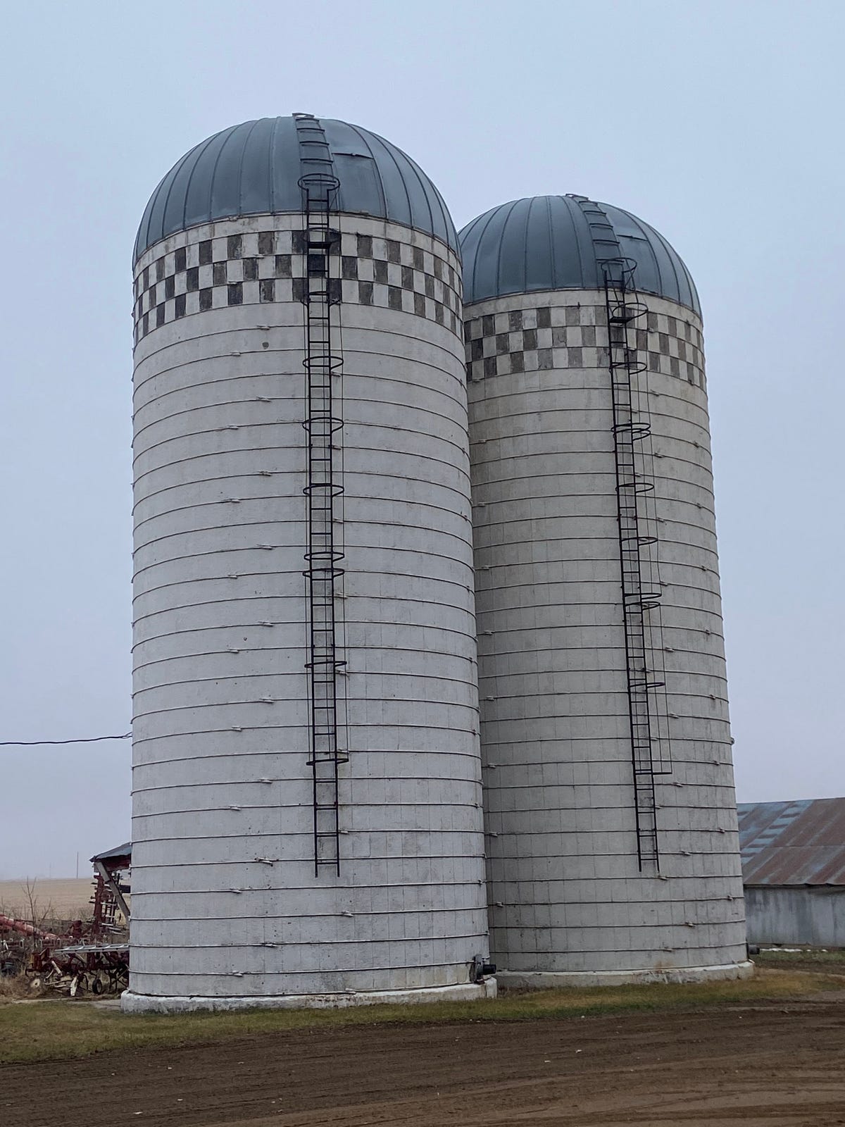 Silos and Seeds. A month or so ago, I received a gift of… | by Gail ...