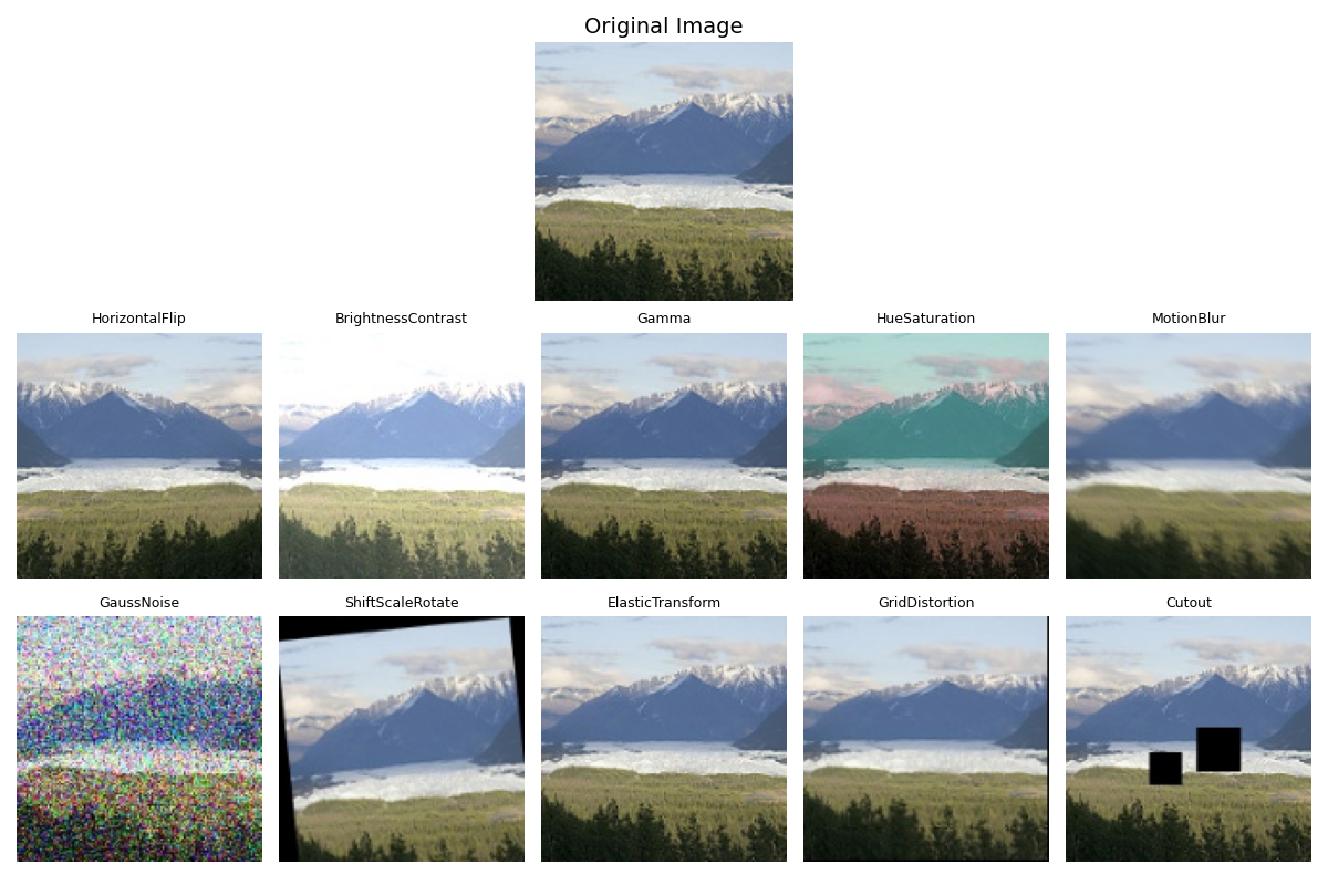 The Magic of Albumentations — a Python Library for Lazy Augmentations ...