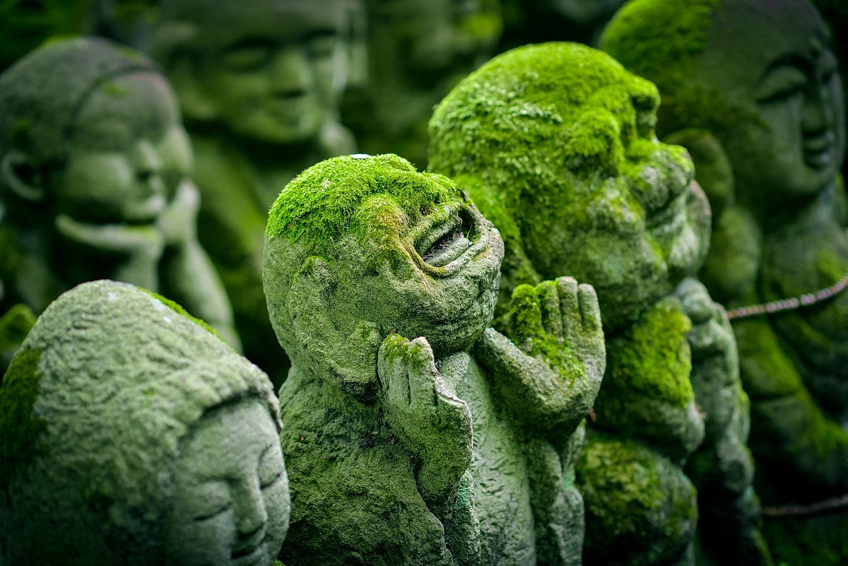 3 Lessons I Learned Setting Holistic Goals | by Jeffrey Keefer, Ph.D ...
