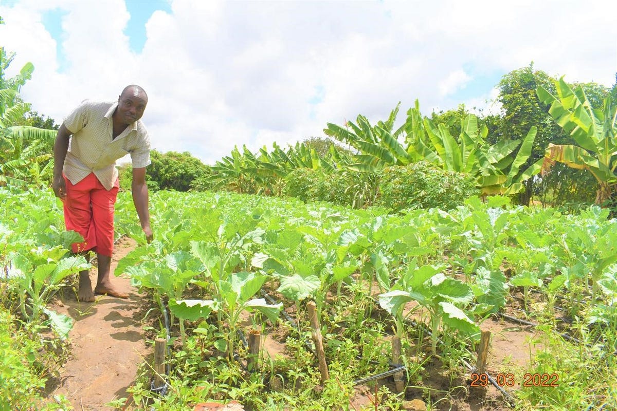 Which green energy technologies will boost jobs and income? Farmers in ...
