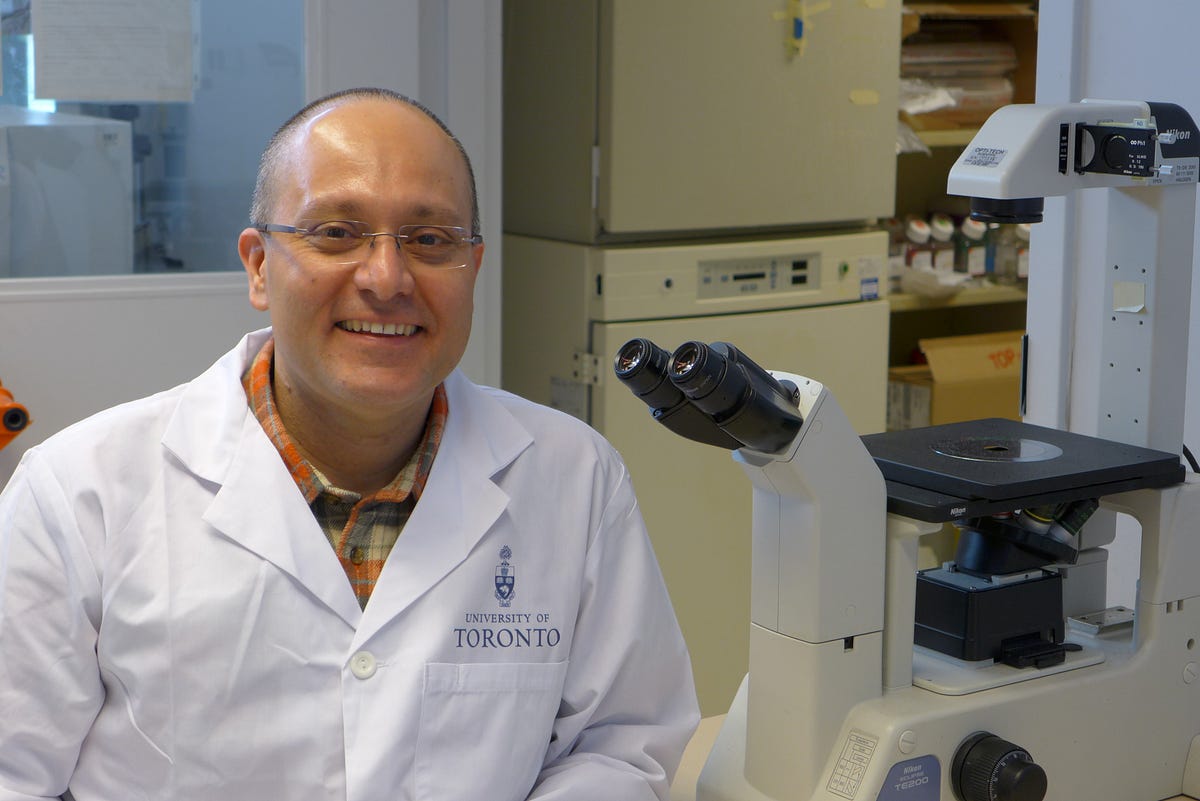 Inspirations and aspirations of a stem cell researcher | by Meredith ...