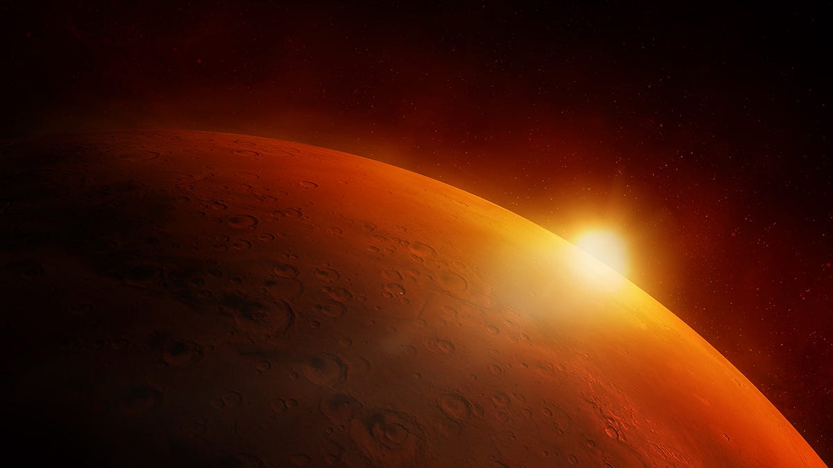 Did Life On Earth Begin On Mars? | Medium