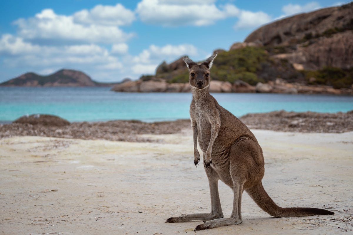 Why I’m Ready to Leave Australia After Living Here For Almost Half a ...