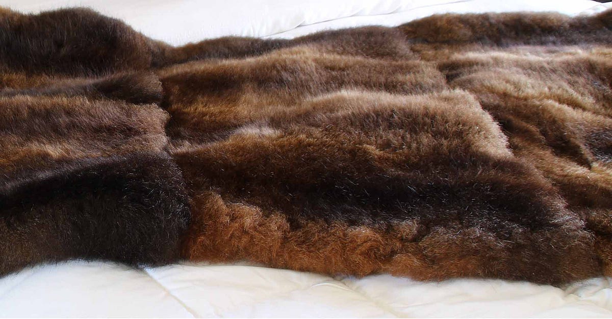 Why is New Zealand Possum fur so sought After? | by Possumhappy | Medium
