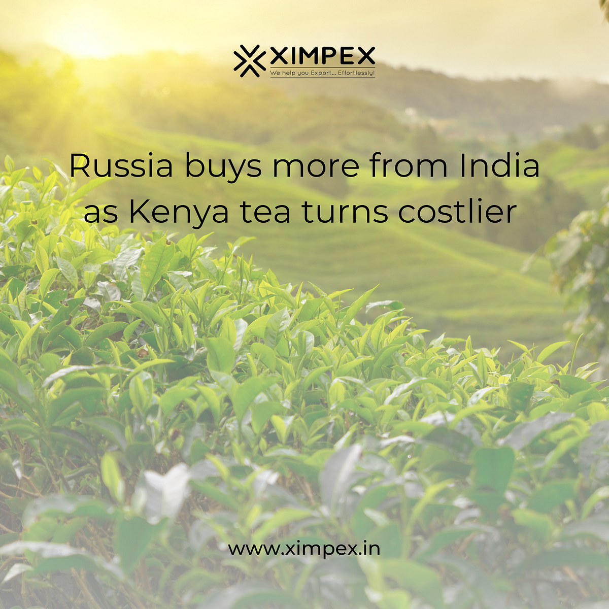 Russia buys more from India as Kenya tea turns costlier - XIMPEX - Medium