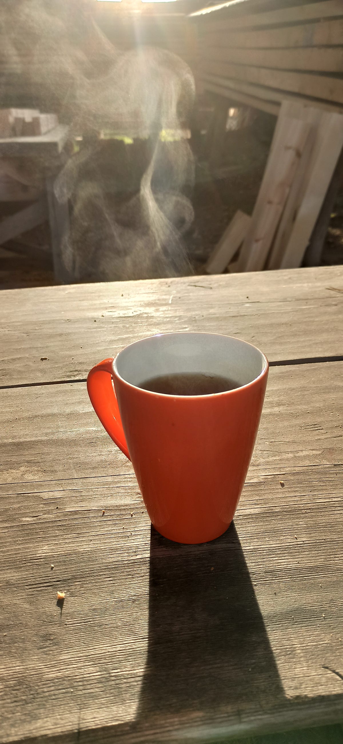 On change, needs, and learning from the past to choose a path into the ...