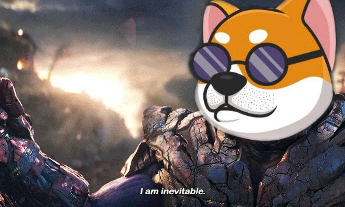 Sanin, the Shiba Inu killer: the vision | by MOONOSHI | Medium