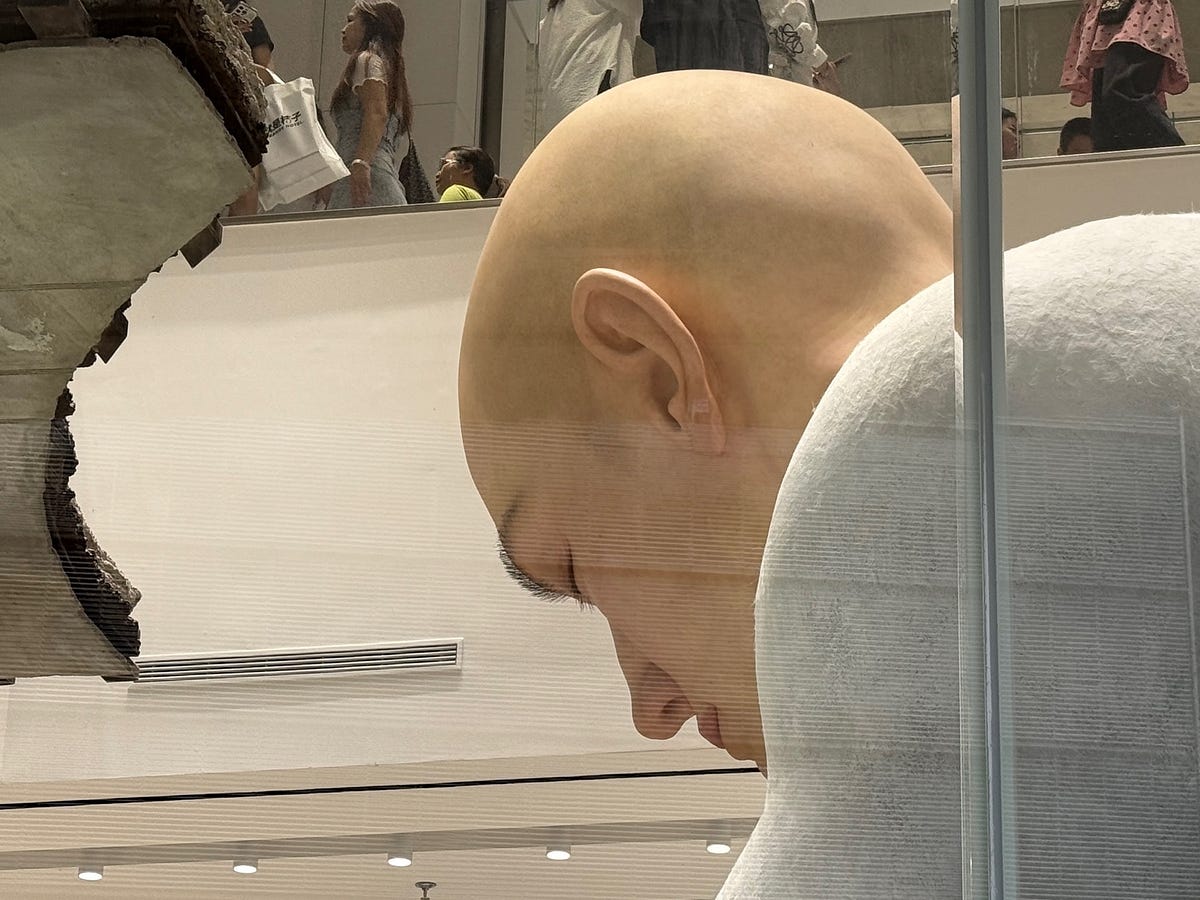 Animal VS. Human - Lackhairs - Medium