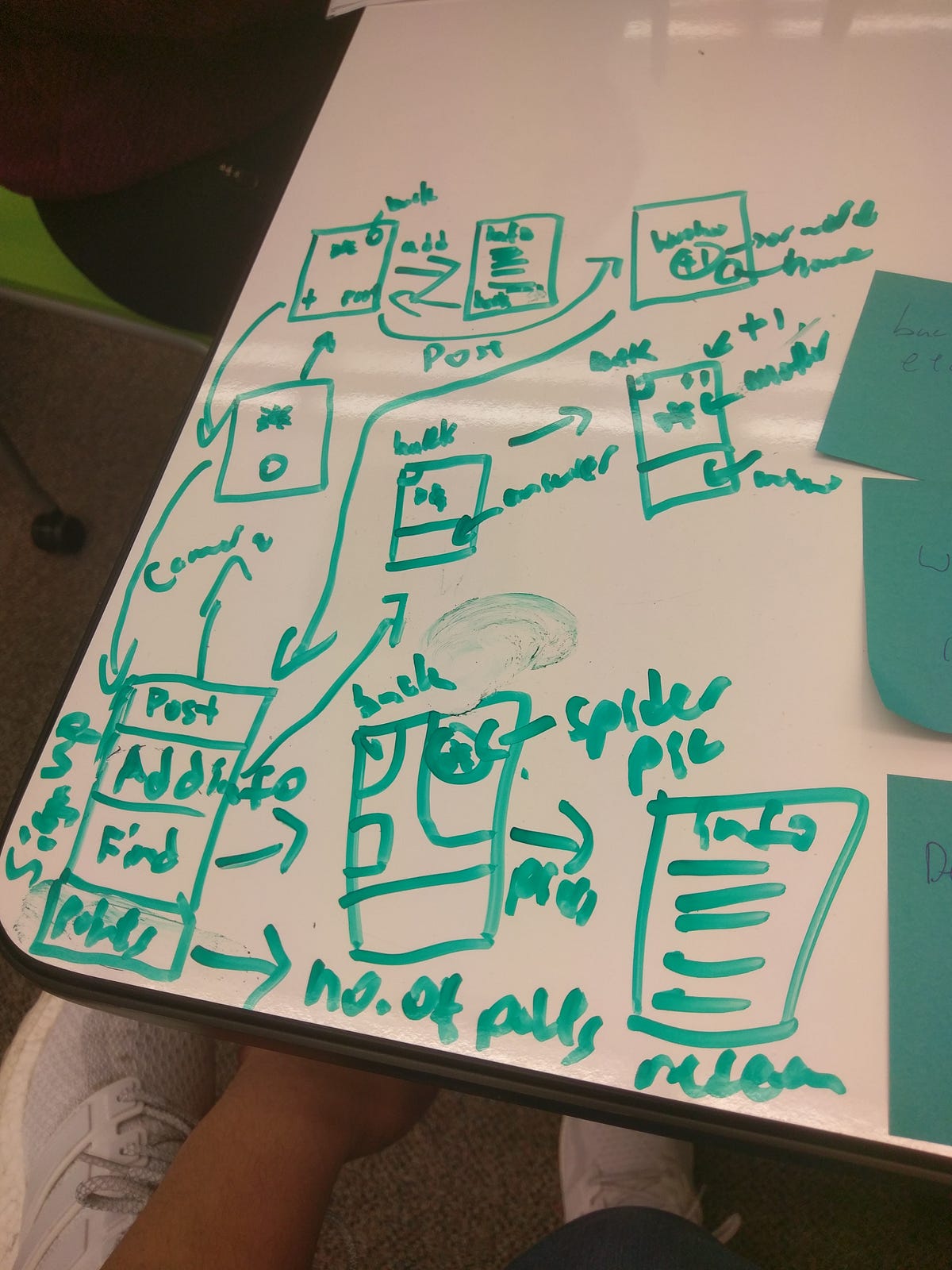 Sprint 2. Animal Census in the Urban Community | by Yang Hao Pan | Medium