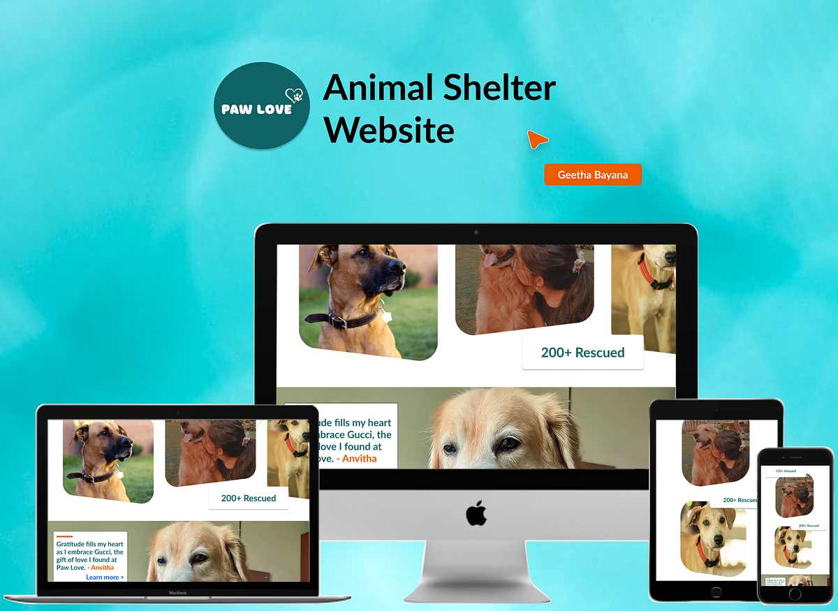 Designing An Exemplary Animal Shelter Website — UI/UX Case Study | by ...