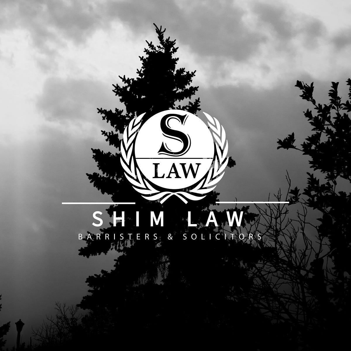 Shim Law: Where Diversity Breeds Success - Shim Law YYC - Medium