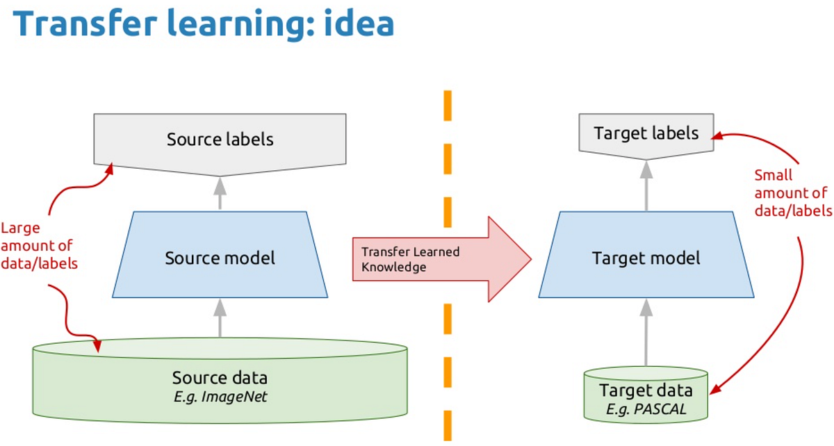 Transfer Learning Explained. Our monthly analysis on machine… | by ...