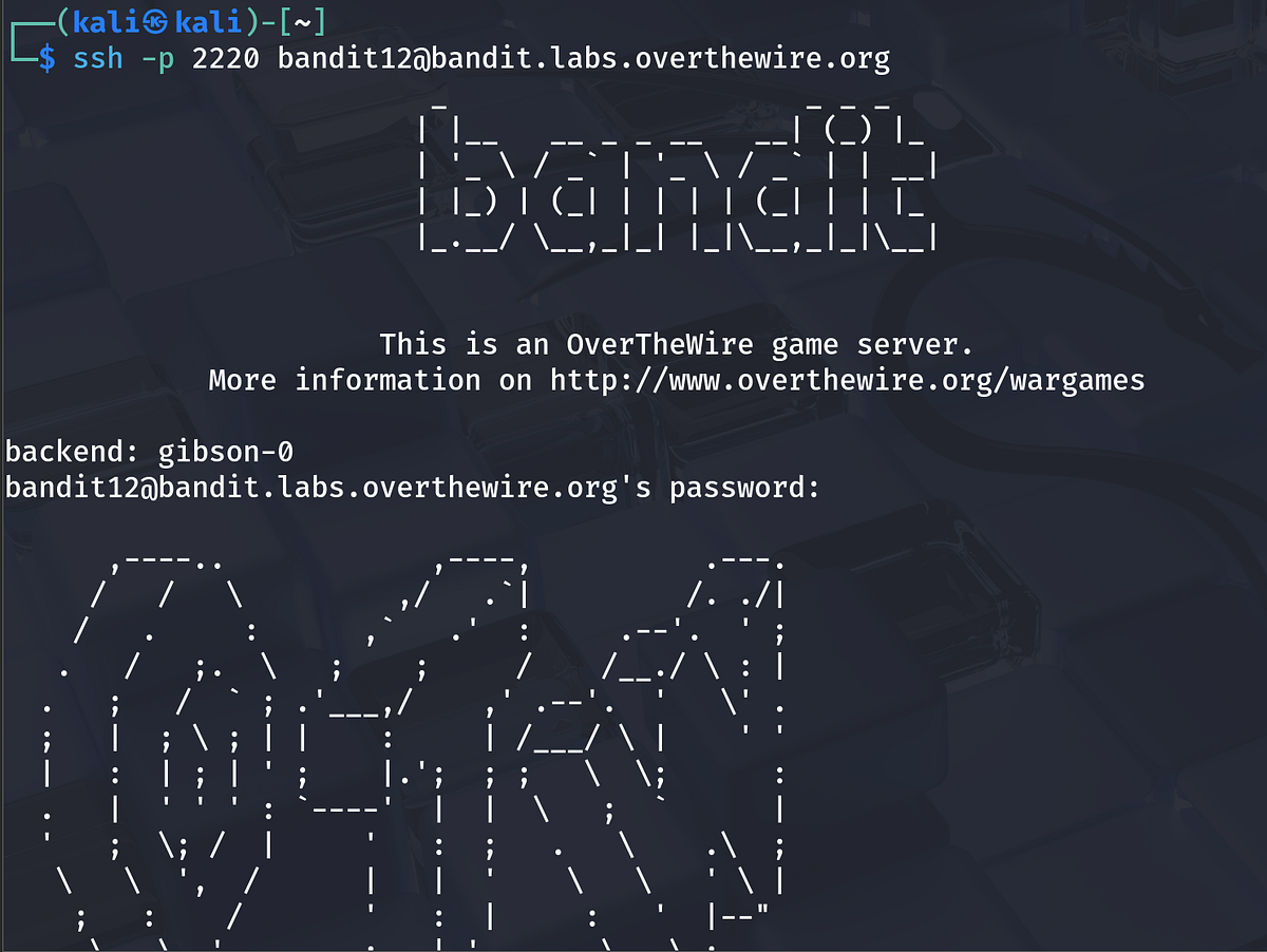 OverTheWire Bandit (Day 13): Linux Fundamentals Every Blue Team & SOC ...