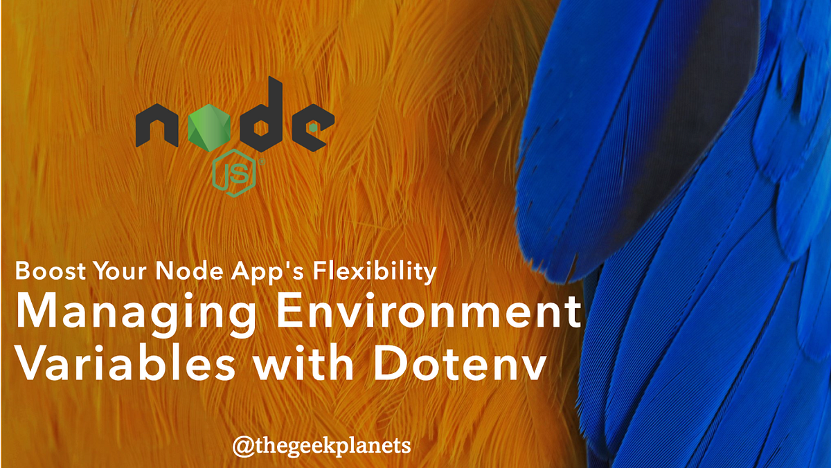 Managing Environment Variables in Node.js Using the dotenv Package | by @thegeekplanets | Medium