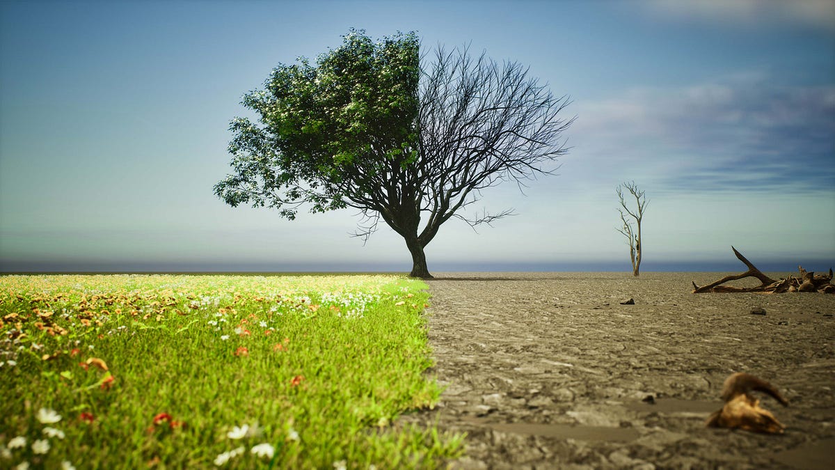 3. Mostly it is loss which teaches us about the worth of things. | by Dr. Richi | Medium