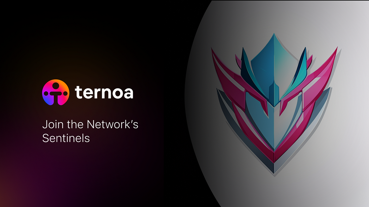 Introducing Ternoa’s Network Sentinels | by Martin | Ternoa | Medium