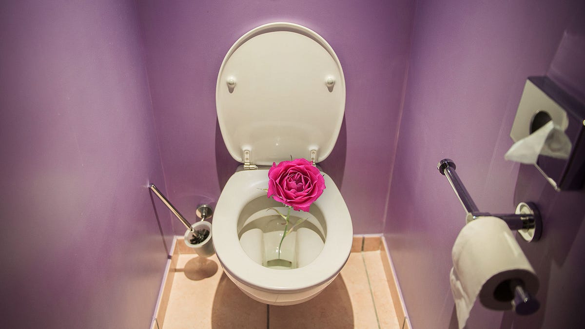 How to Poop Like a Secret Agent and Leave No Trace Behind | by Adam ...