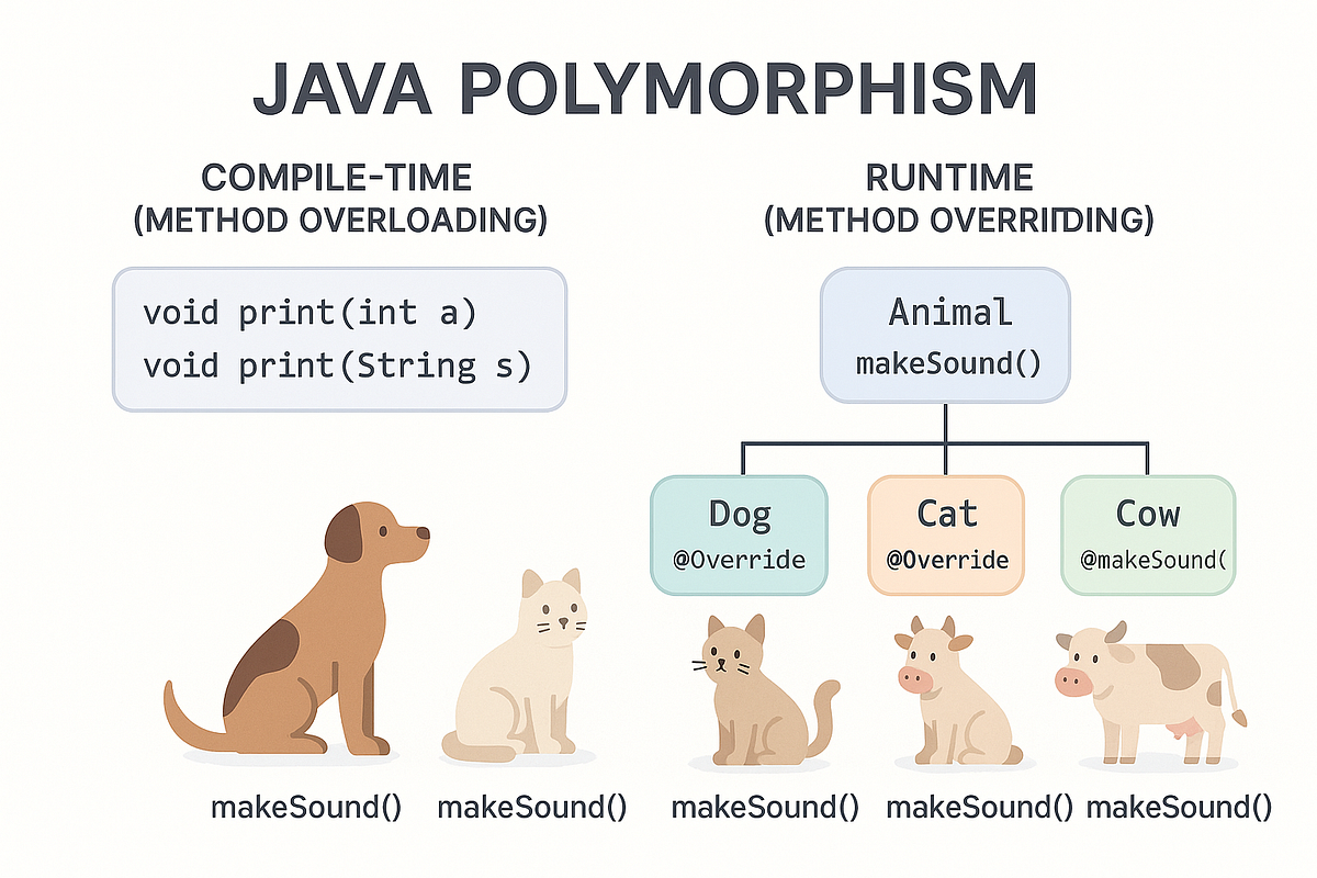 Mastering Java Polymorphism: The Ultimate Guide with Code, Benchmarks, and Diagrams | by inside ...