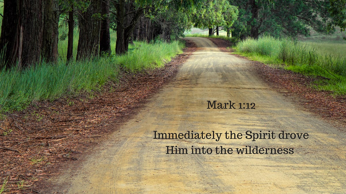 Mark 1:12: The Lows of Life. Today in my quiet time, I was struck by ...