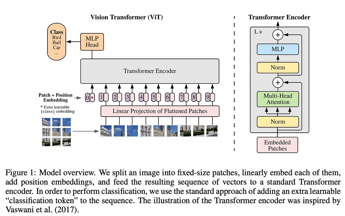 ViT(Vision Transformer)论文阅读 | by MLTalks | Medium