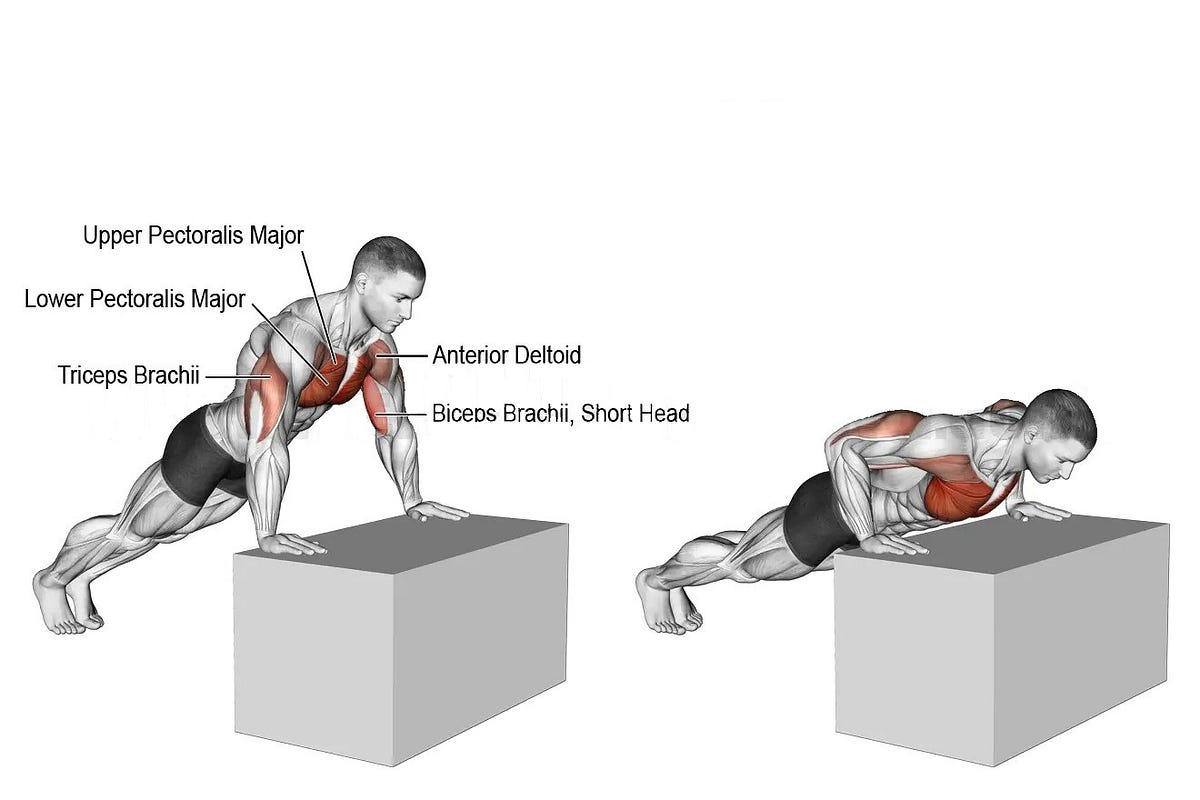 What do decline push ups work store