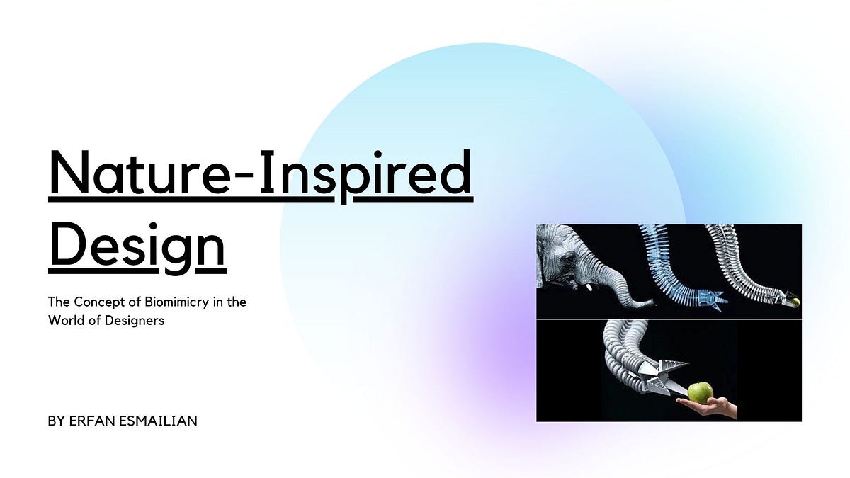 Nature-Inspired Design: The Concept of Biomimicry in the World of ...