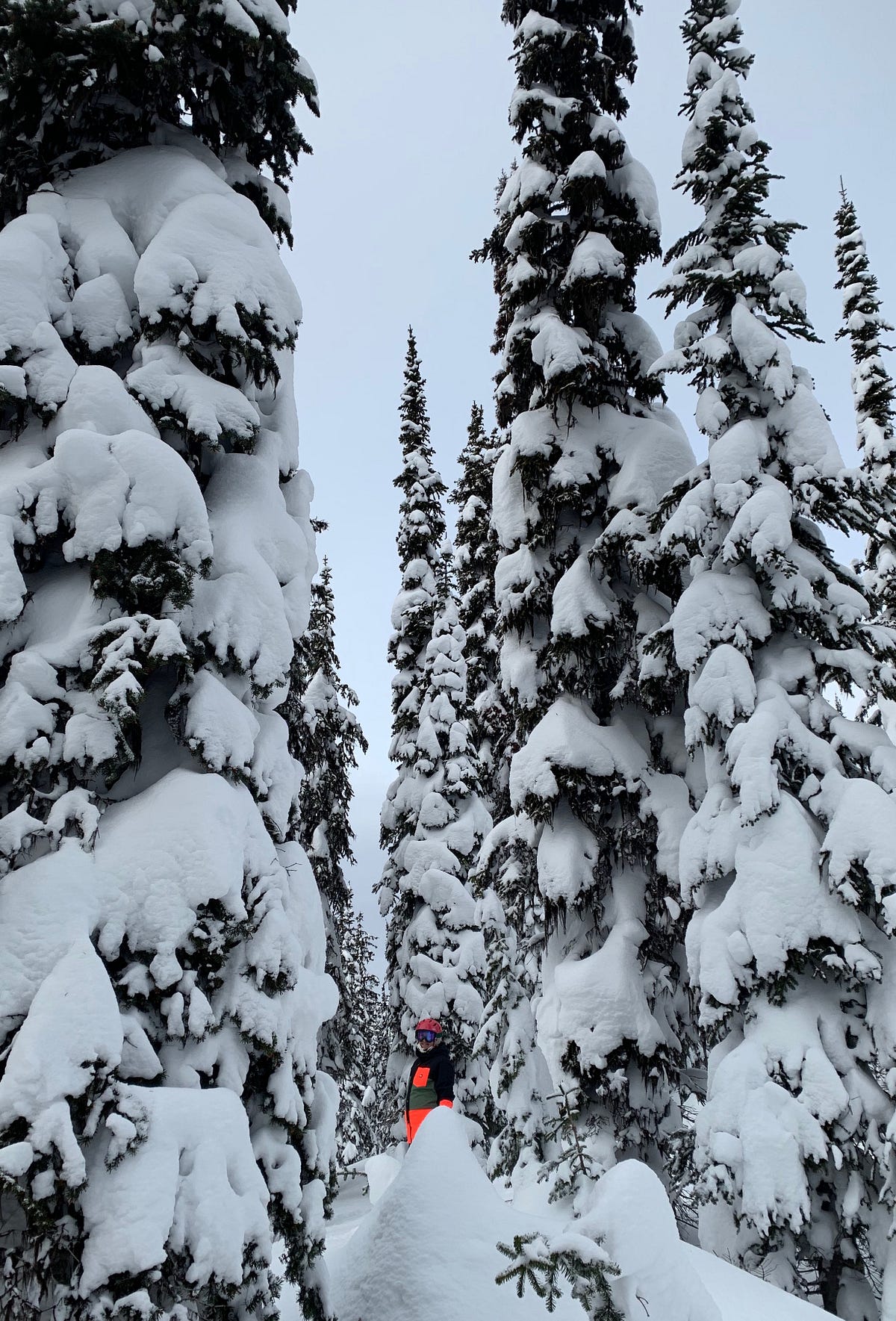 The Powder Highway. In Photos | by sarah anne cox | Medium