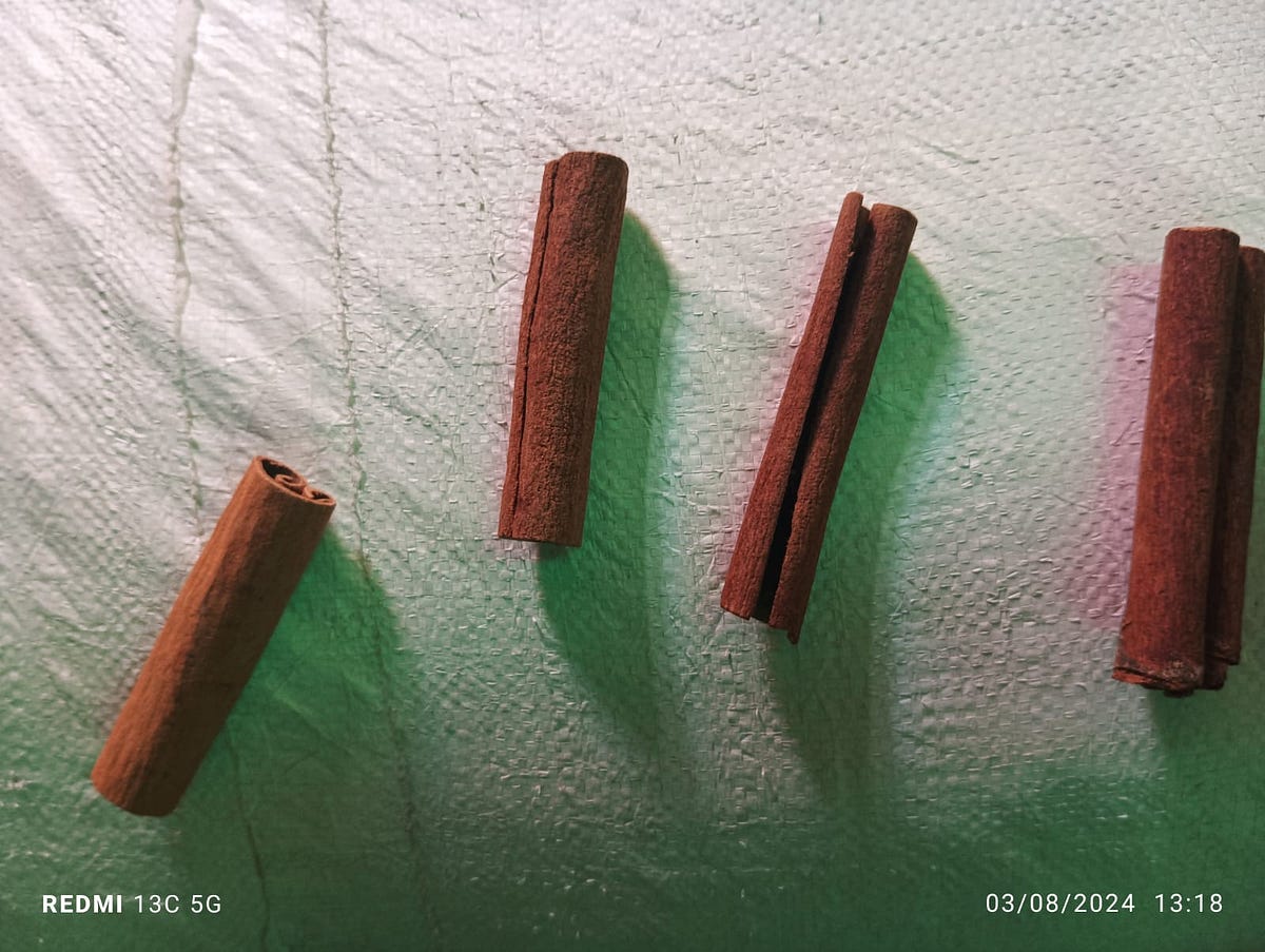 Cinnamon Cigar Price in India what is price of Cigar Dalchini | by Nik ...