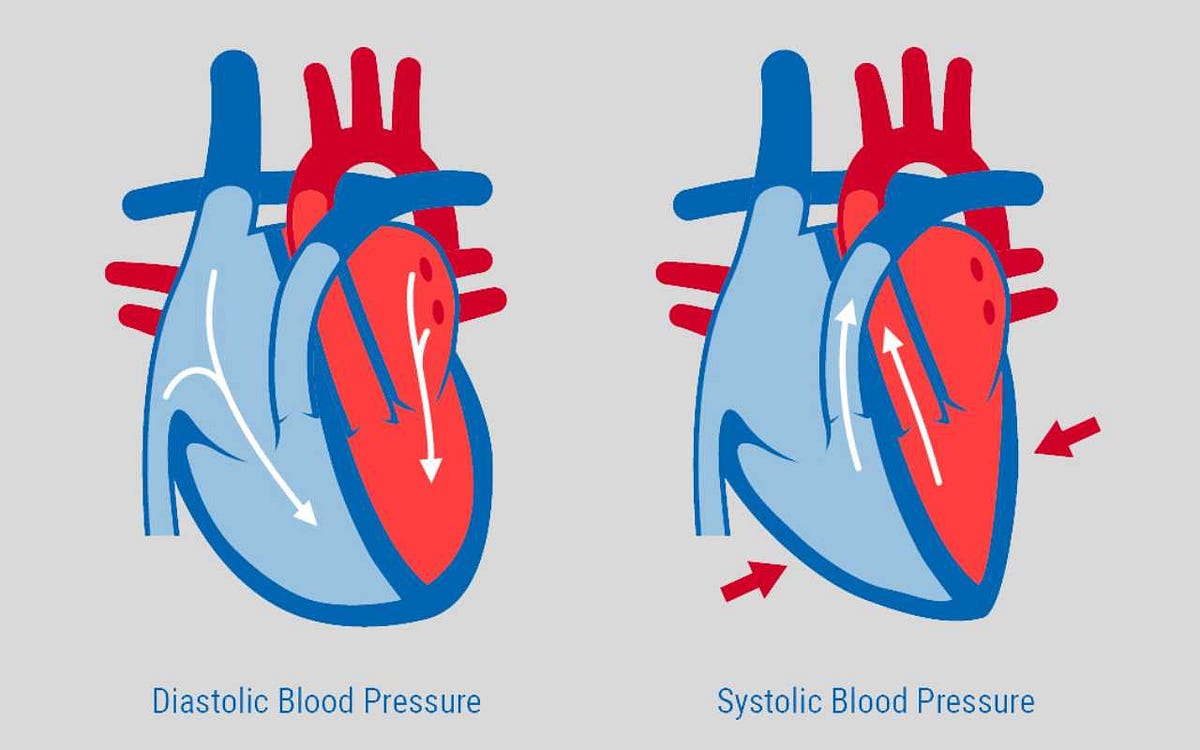 Systolic and Diastolic Blood Pressure | by Times 5 | Medium