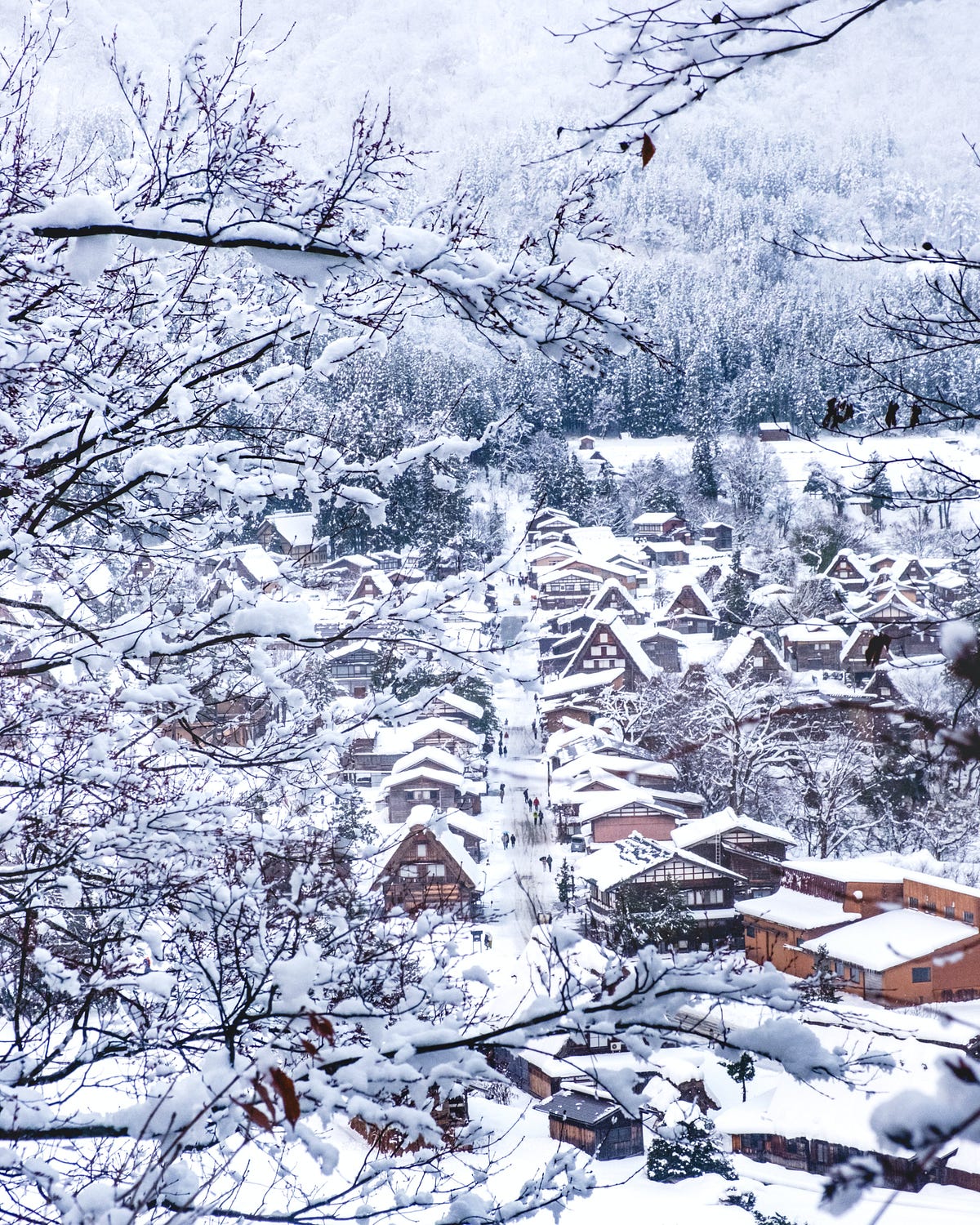Japan in December. A winter wonderland. | by Joey | Aug, 2023 | Medium