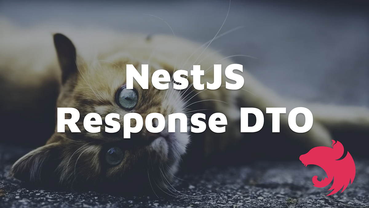 Proper Way To Create Response Dto In Nest Js By Ayuth Mangmesap Ayuth S Story Medium