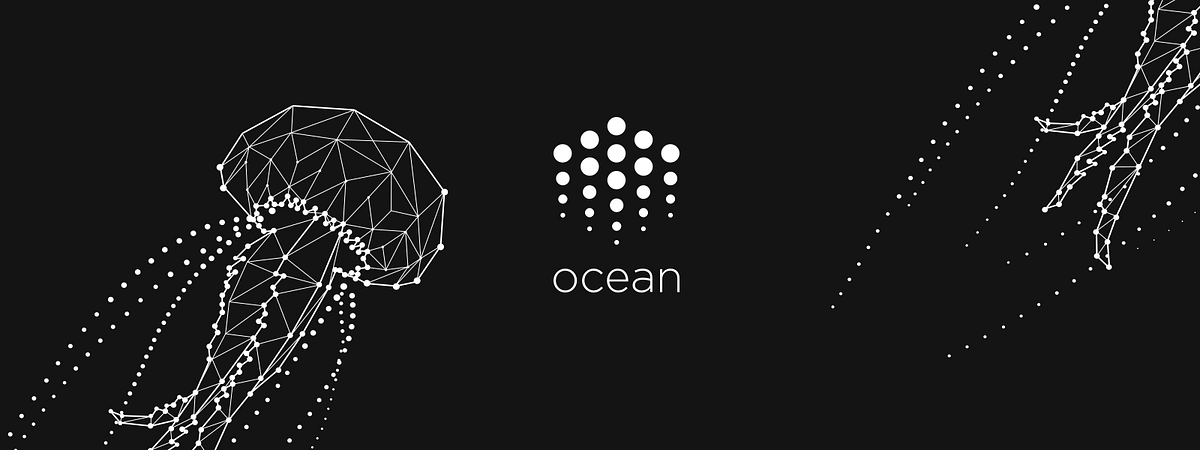 Meet the Fleet — Razvan Olteanu, COO of BigchainDB | by Ocean Protocol ...