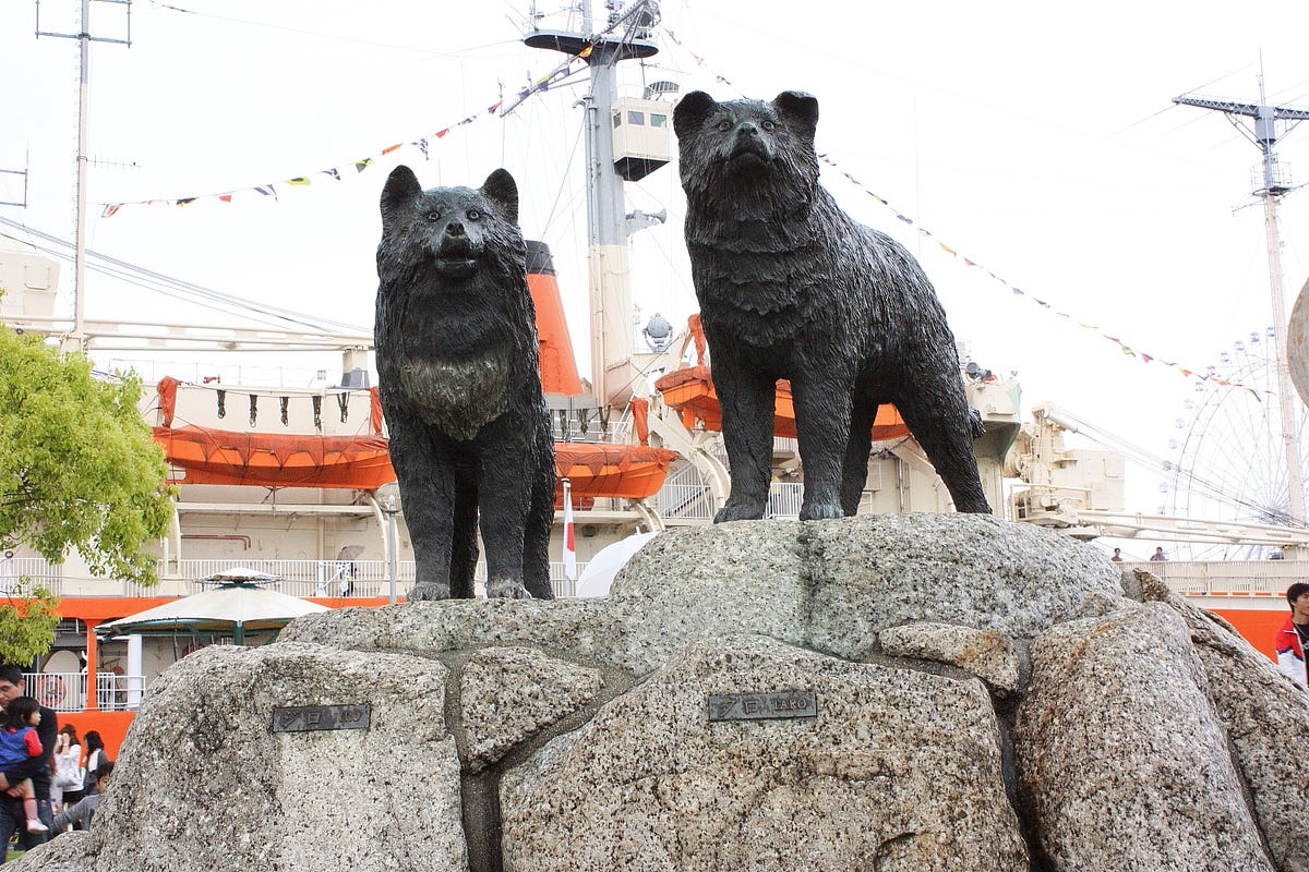 Taro and Jiro: The Story of Antarctica’s Miracle Dogs | by R P Gibson ...