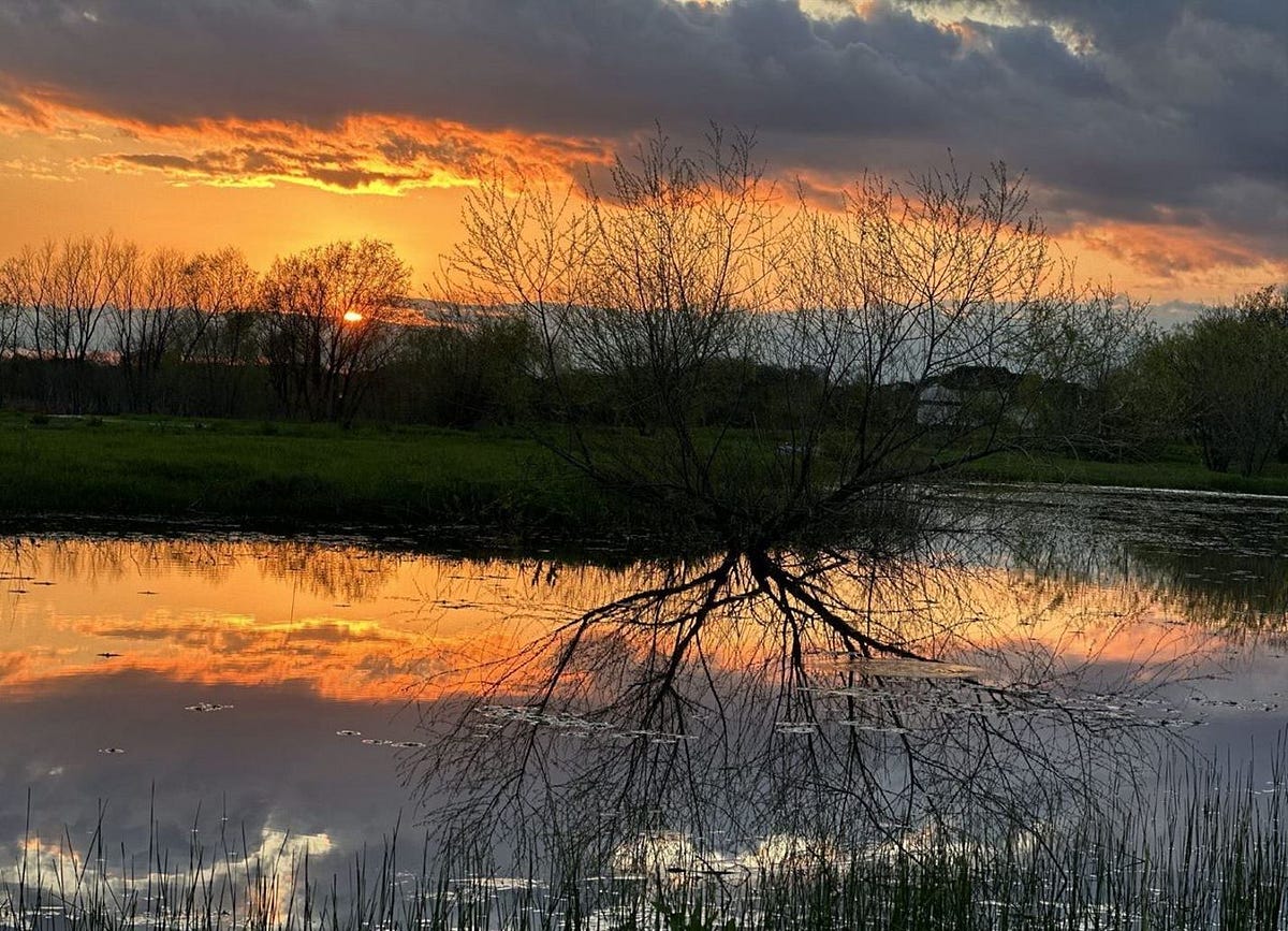 Information Criterions In Statistical Modelling By Ly Medium