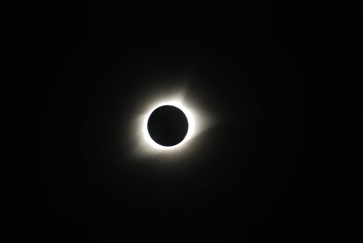Witness Darkness in Daylight:. The Great North American Eclipse of ...
